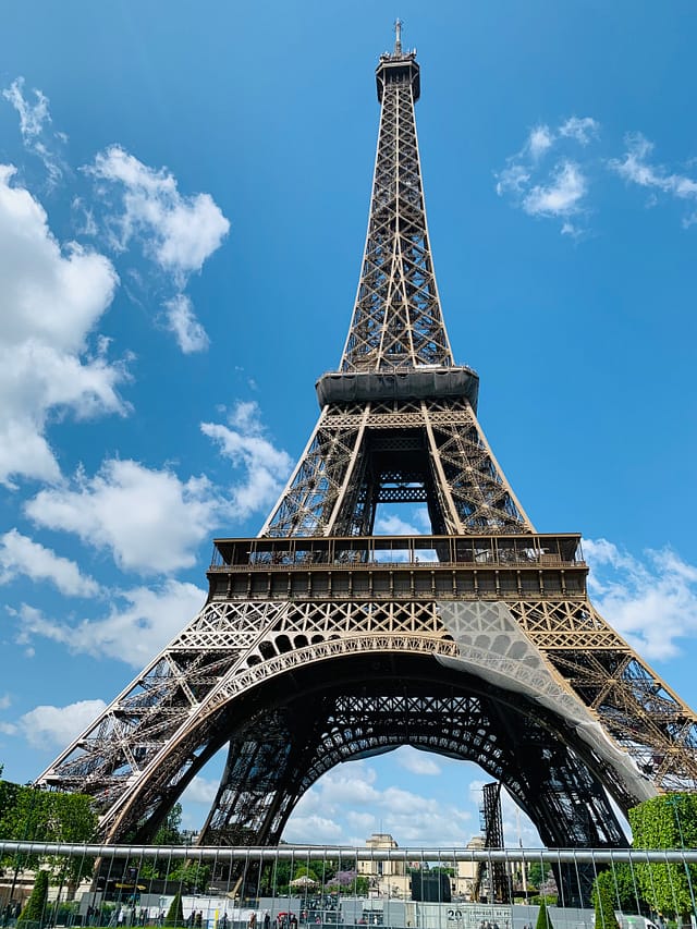 Travel Spine - Services